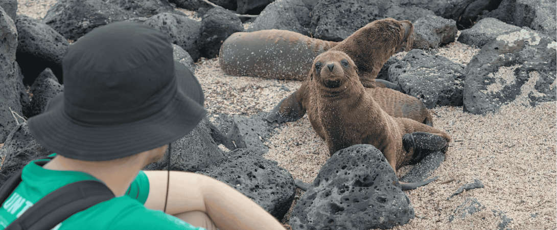 Beyond the bucket list: the personal growth behind international ...